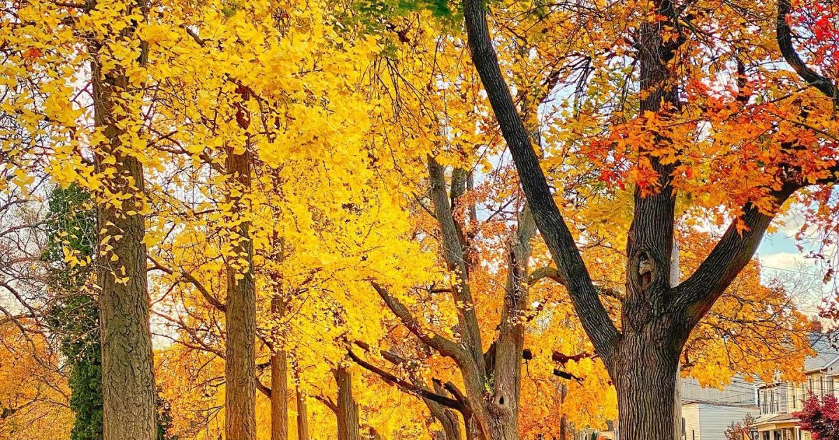 Fall Splendor Awaits in Lehigh Valley, PA | Discover Lehigh Valley