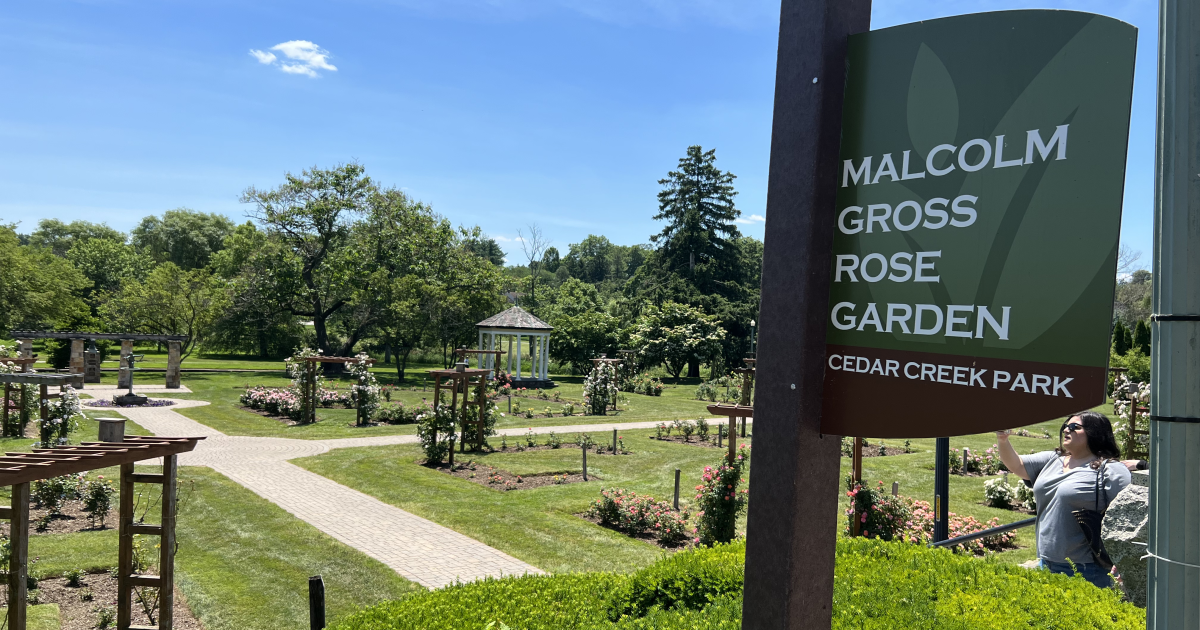 Malcolm Gross Rose Garden | Discover Lehigh Valley
