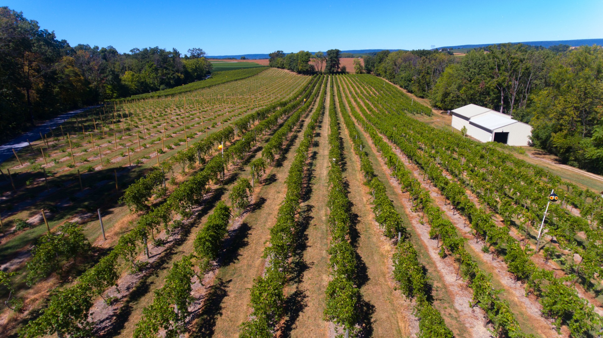 Franklin Hill Vineyards | Discover Lehigh Valley