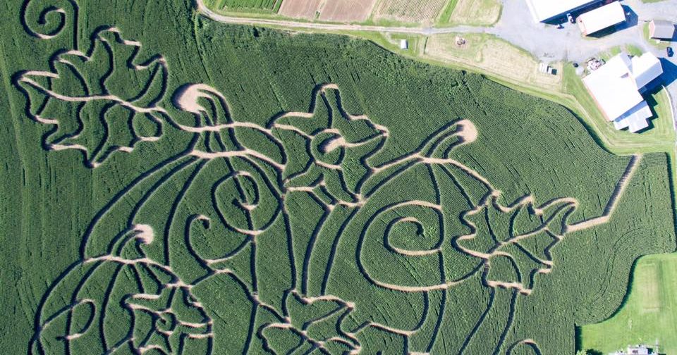 Seiple Farms | Discover Lehigh Valley