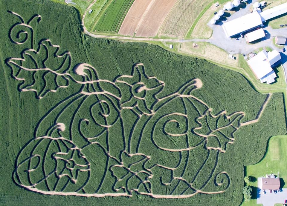 Seiple Farms | Discover Lehigh Valley